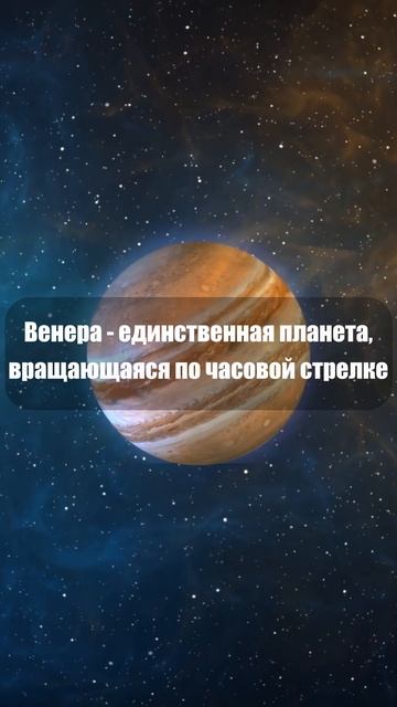 Венера единственная планета, вращающаяся по часовой стрелке