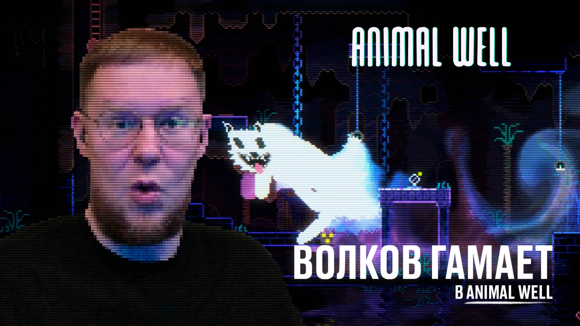 Волков гамает в Animal Well