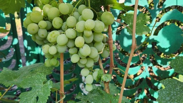 Хорошее было лето!