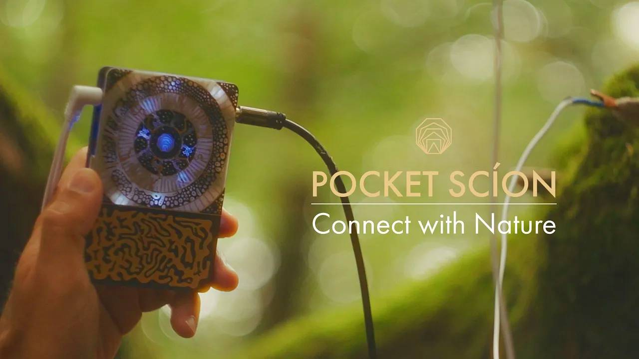 Instruo x Modern Biology Pocket Scion: Connect with Nature