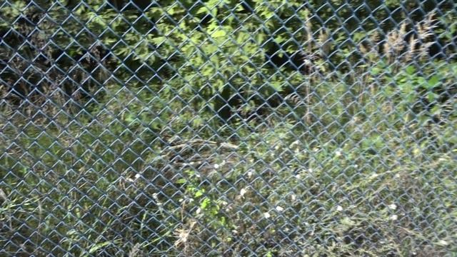 Трассировка Кабеля