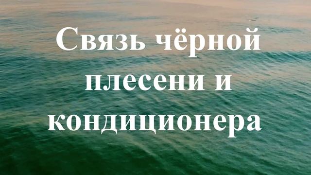 Чёрная плесень