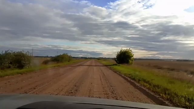 Лесная дорога для нивы,как асфальт для иномарок