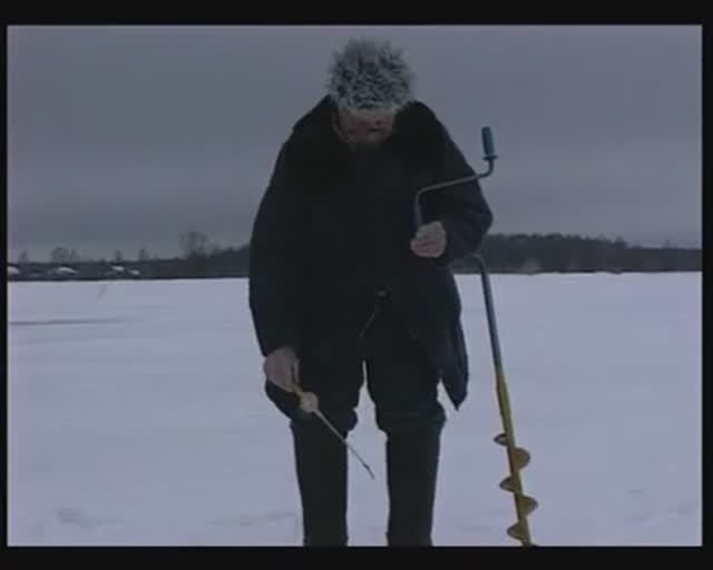 Зачем рыболовы привязывают дополнительный крючок при зимнем блеснении Окуня — Perca fluviatilis ?