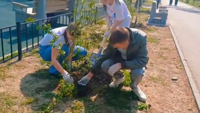 Егор Тищенко, Гребенюк Ангелина. Сад памяти