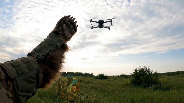 ДЖЭКИ С ПТИЧКОЙ ШУГАЮТ ПОРОСЯТ!!