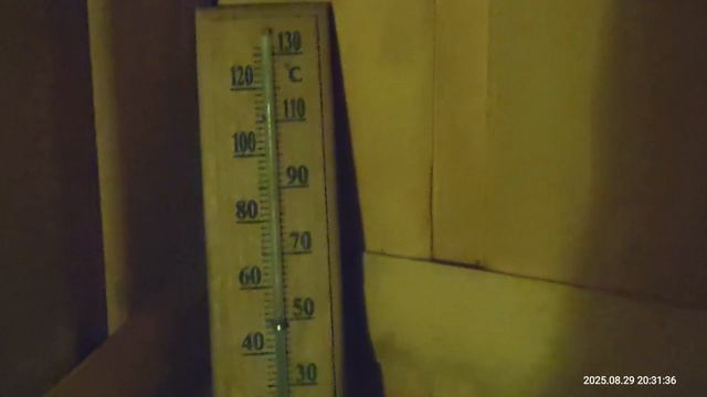 Дачные хроники 29-08-2025