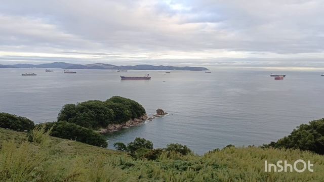 Лесная. комары сожрали😂