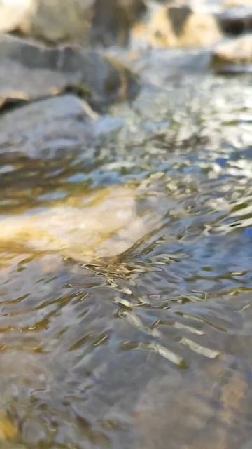 Парк истории реки Чусовой. "Последние дни августа"