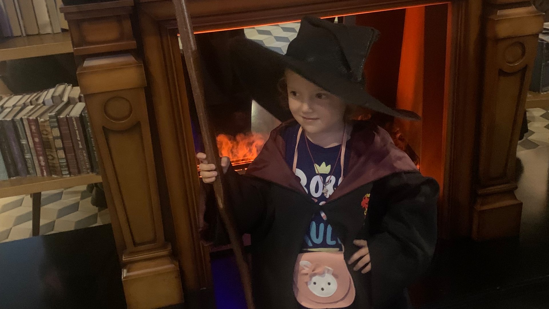 Нина в Платформе или Вселенная Гарри Поттера