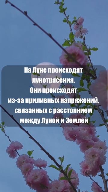 На Луне происходят лунотрясения