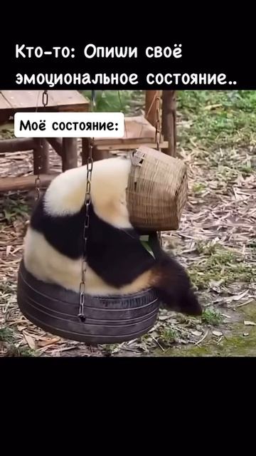 Отдых По после боя с Тай-Лунгом