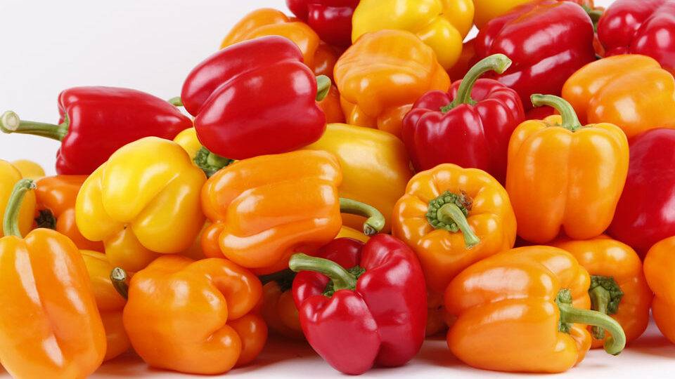 Шурпа , фаршированные перцы . ВЛОГ !!!!!!!!! (29.08.25)