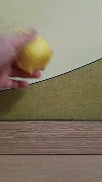 Новый герой Сквиш!