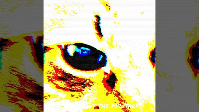 хоррор коты3