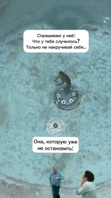 Закрутилась😂 #юмор #прикол #девушки #топ #рекомендации #втоп