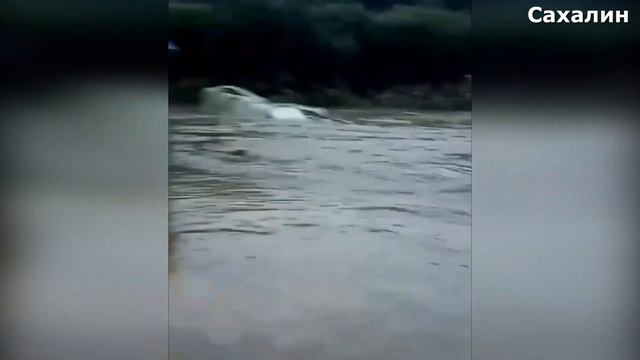 Наводнение_на_Сахалине_Люди_на_крышах_и_дома_под_водой