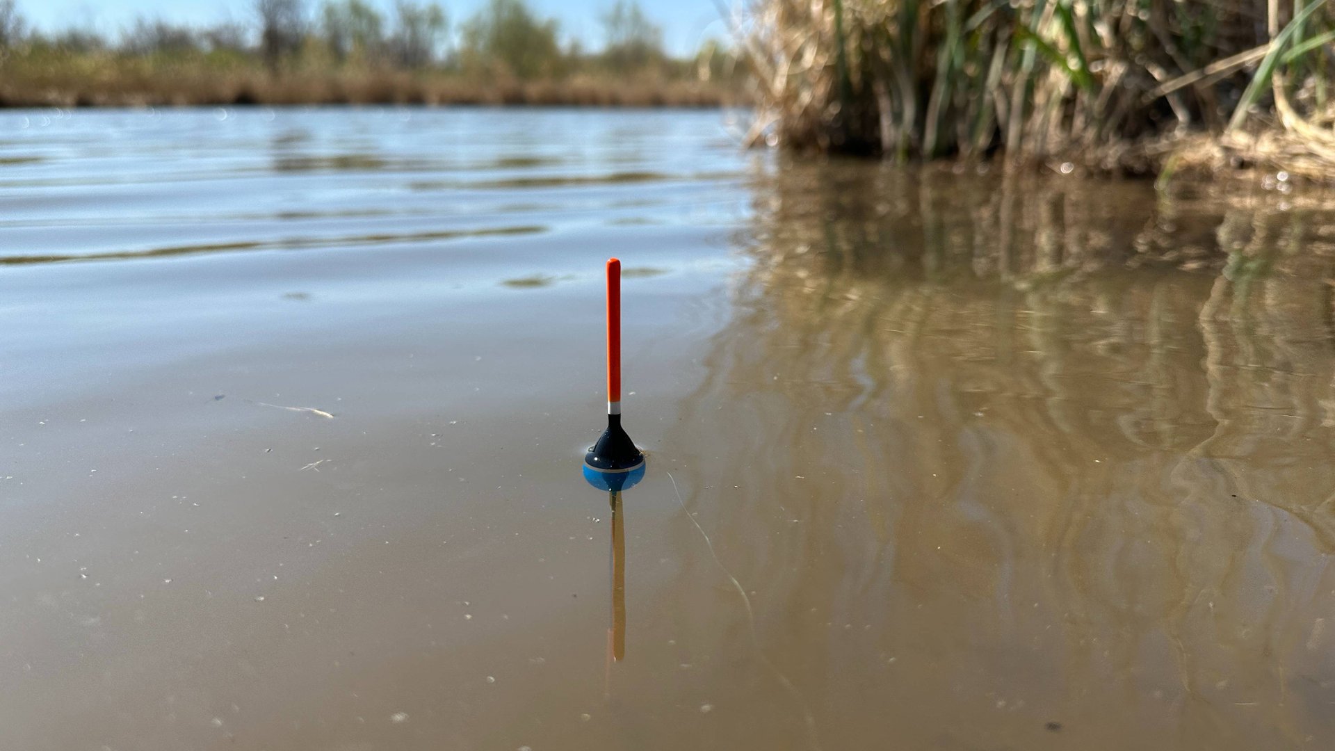 Не успел разложить снасти , как дочка уже наловила рыбы. Рыбалка на карася 2025