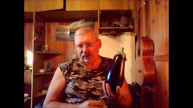 Баклажан сорт ЭПИК