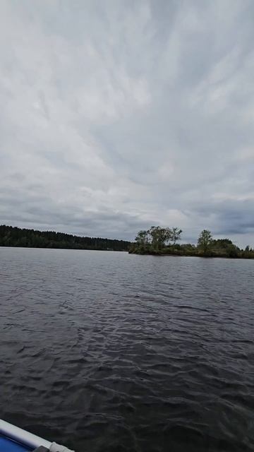 Попали под сильнейший ливень на рыбалке! ⛈️