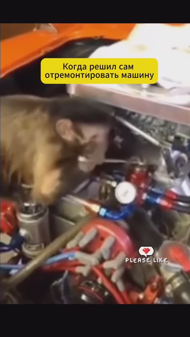 Учёный механик