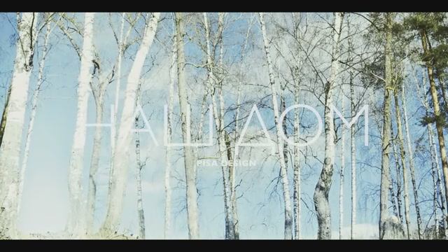 Мини-обзор нашей дачи