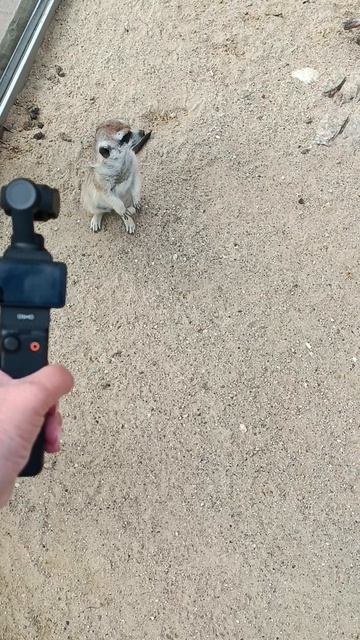 Снимайте меня! Снимайте!