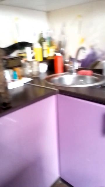 КОШКИ ИЗДЕВАЮТСЯ НАД ПОВАРОМ 👹🐷 КОШКА КСЮША И КОТЕНОК БАРСИК ПРОСЯТ ПОЕСТЬ, А ПОТОМ ОТКАЗЫВАЮТСЯ