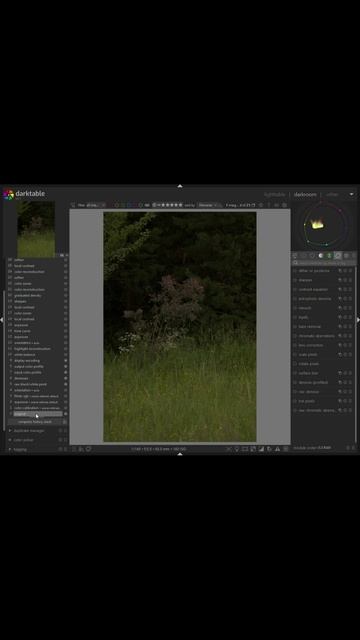 "Шиповник" постобработка фото 4 - что делает фотоаппарат