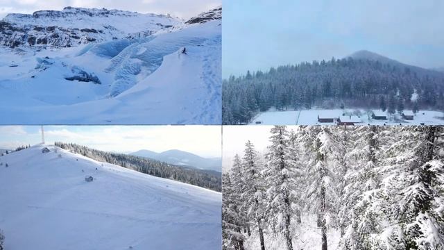 Эрнесто Кортазар. 9 жизней невинности.   Ernesto Cortazar .  9 Lives Of Innocence