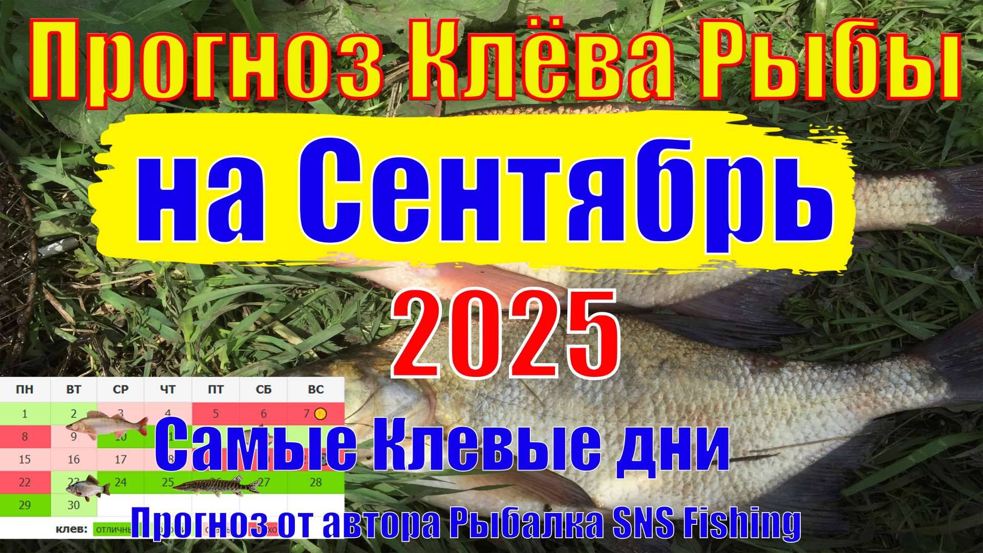 Прогноз Клева рыбы на Сентябрь 2025 Календарь рыбака Прогноз клева рыбы на эту неделю
