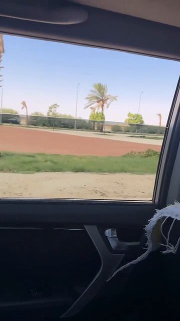 Вывезла детей в школу за границу #школа_за_границей#переезд_в_другую_страну