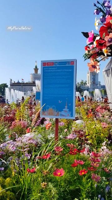 Клумба на ВДНХ