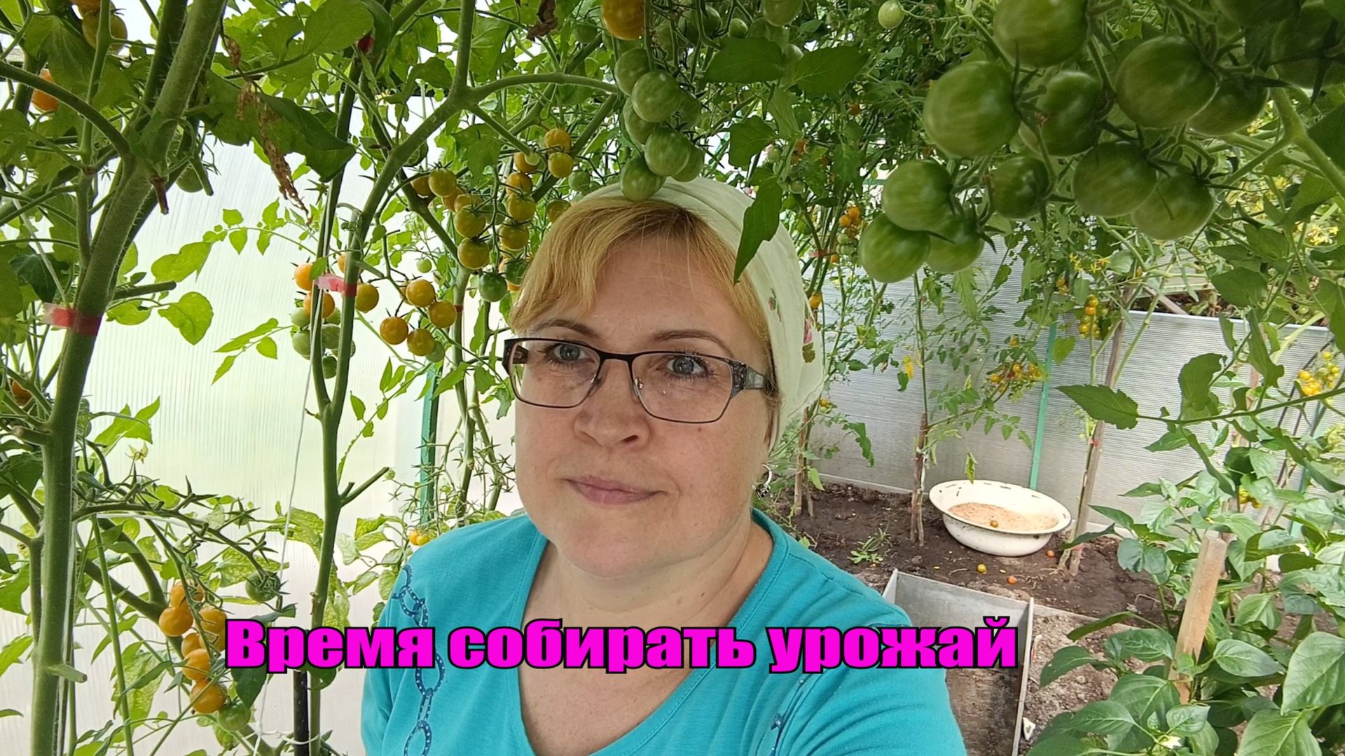 Время собирать урожай