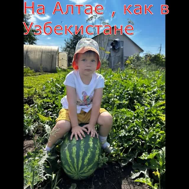 Любо-дорого