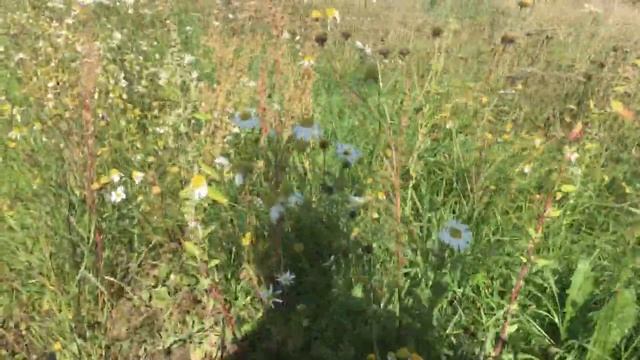 2020 Первый день путешествия по Великому Устюгу