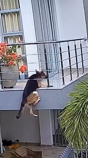 Помогите😁