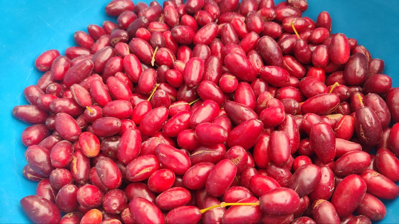 Кизиловый компот. Самый ароматный и вкусный компот на зиму.