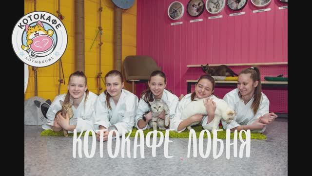 Кошки и Каратистки