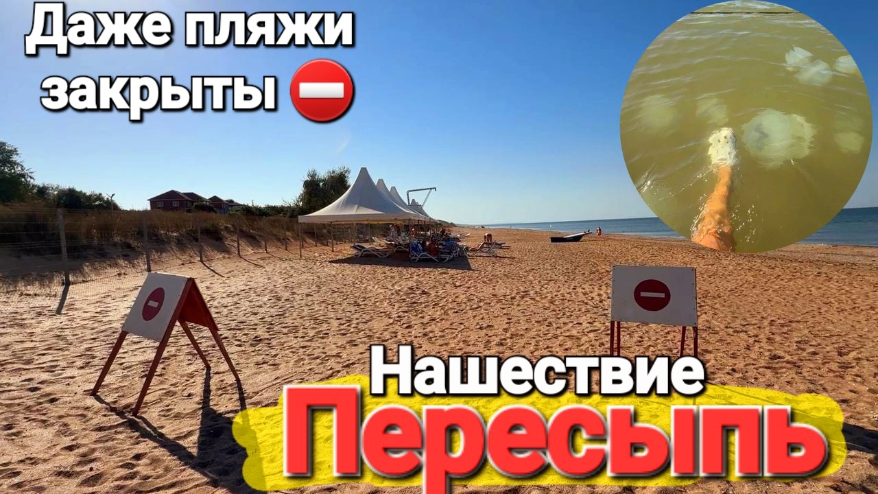 Азовское море 31.08.2025 #Пересыпь - Пляжи закрыты. Нашествие опасных существ в конце лета