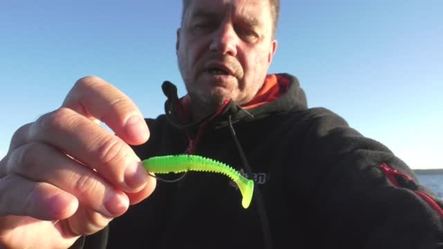 Ловля судака в августе на спиннинг. Какую приманку выбрать?