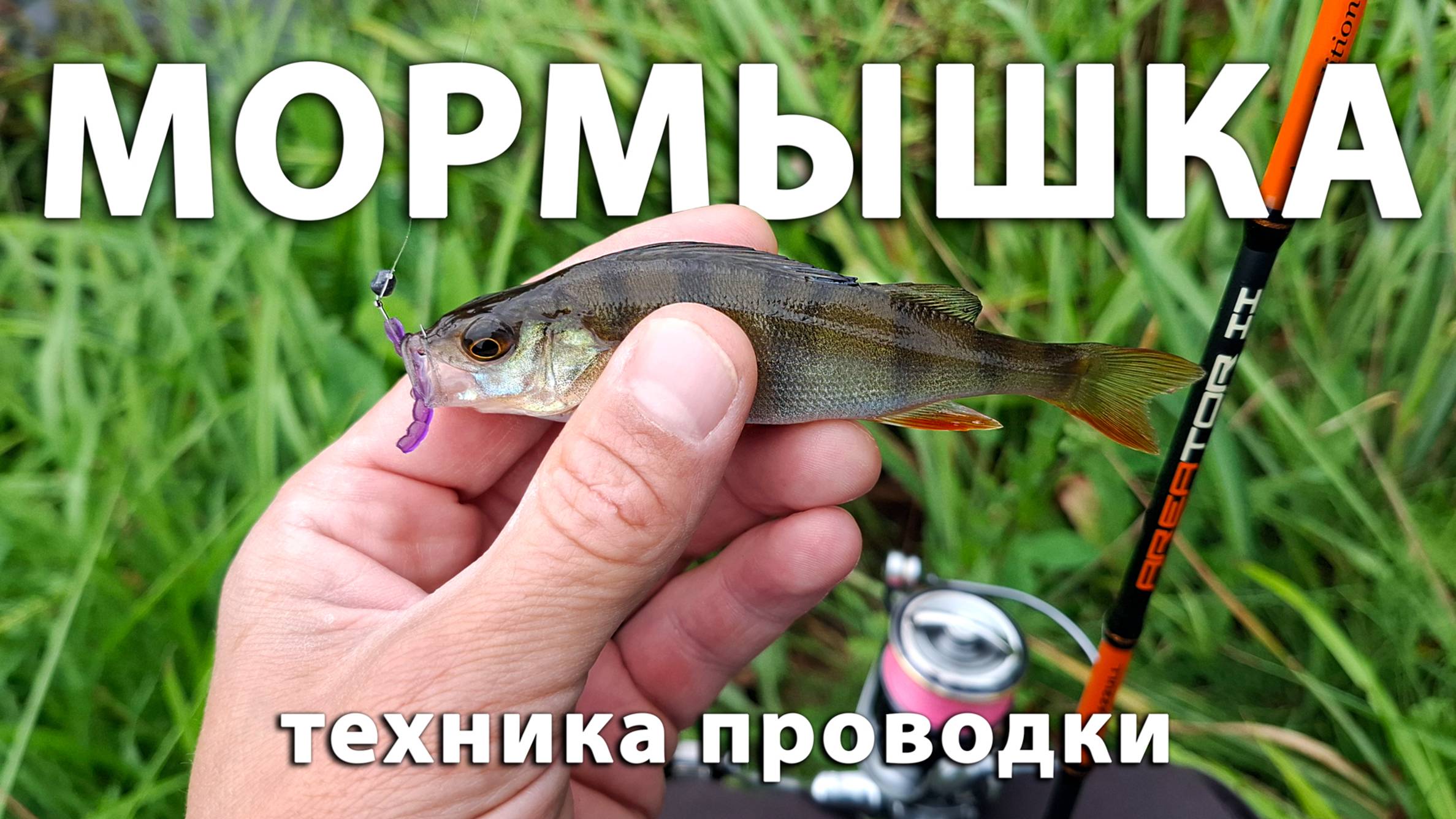 Техника проводки и ловли окуня на мормышку. Личный опыт за первый летний сезон мормышинга. Рыбалка.
