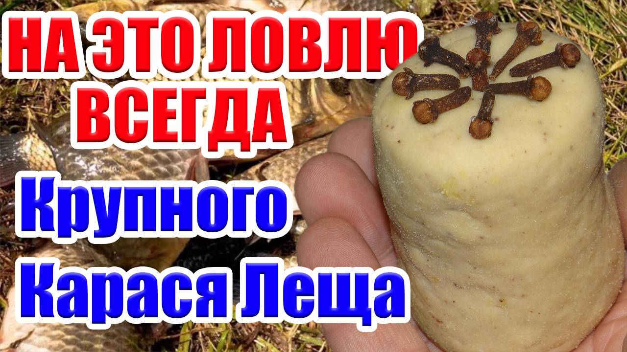 На это Клюет всегда На что ловить Карася Леща Осенью. Насадка для рыбалки своими руками