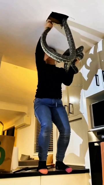 Серпентарий