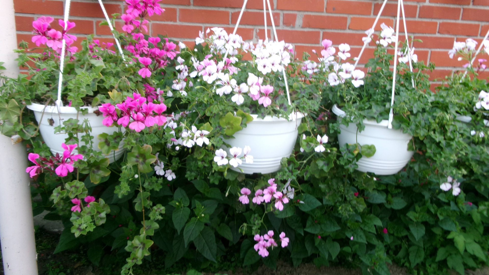 Посмотрите на мою осеннюю красоту. ХМАО Западная Сибирь.