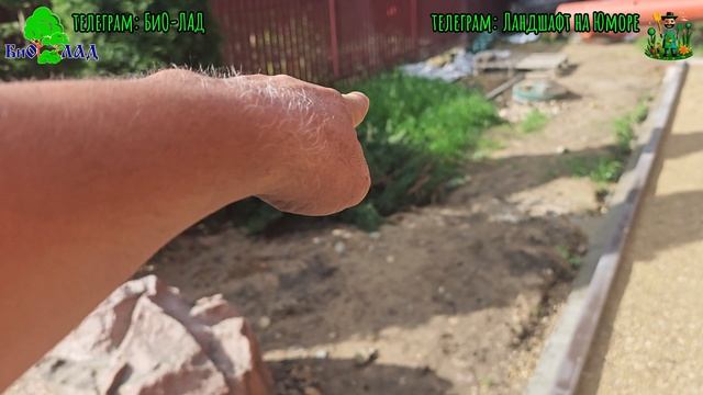 Есть согласование! Работаем интенсивнее!!!