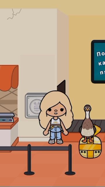 Подарок в токе