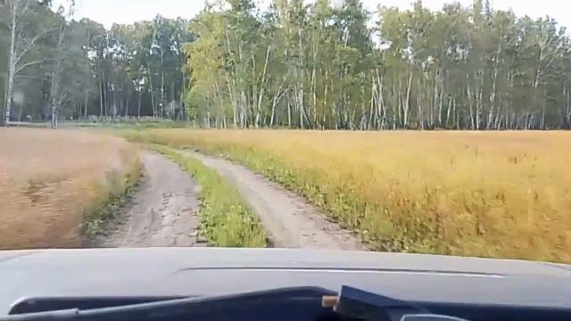 На ниве по лесу,просто замечательно