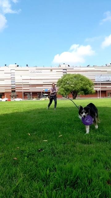 АО Барт - учимся ловить роллы