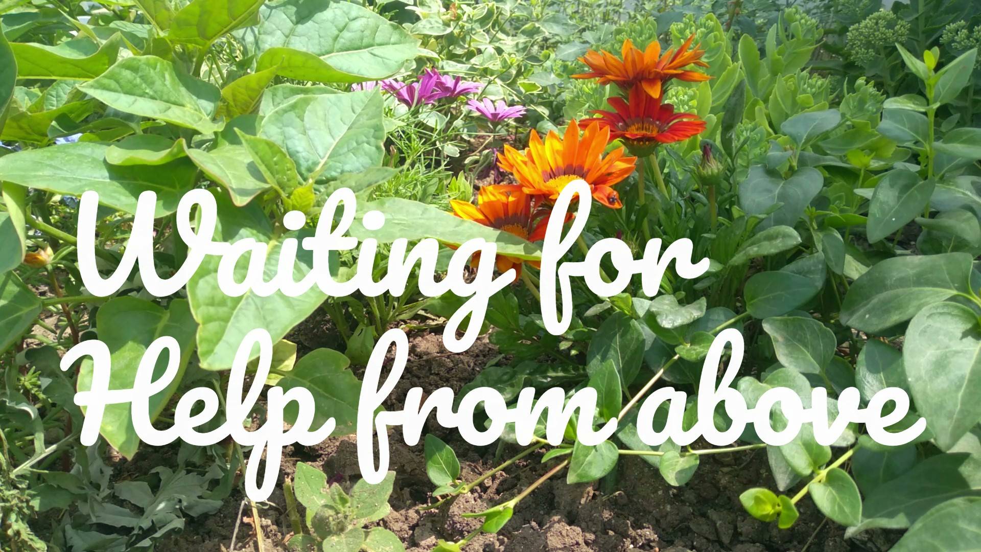 Waiting for help from above